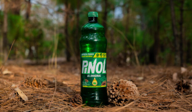 Pinol® une fuerzas para preservar los bosques - Agencia Brunch